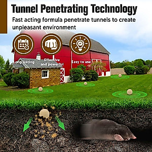 Dsdgkmk Mole Repellent for Lawns, Gopher Repellent, Mole & Vole Repellent, Mole Deterrent for Yard/Garden, Vole Repellent Outdoor,Mole and Gopher Repellent, Get Rid of Mole, Groundhog Repellent -8P