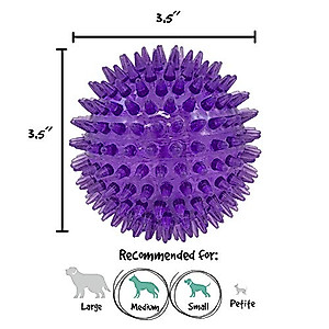 Gnawsome Medium Squeaker Ball Dog Toy, Medium 3.5", Colors will vary, All Breed Sizes