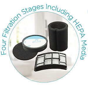 Simplicity Vacuums Corded Stick Vacuum Cleaner, Powerful Bagless Vacuum for Hardwood Floors with Two Speeds, Certified HEPA Filtration, S60 Spiffy