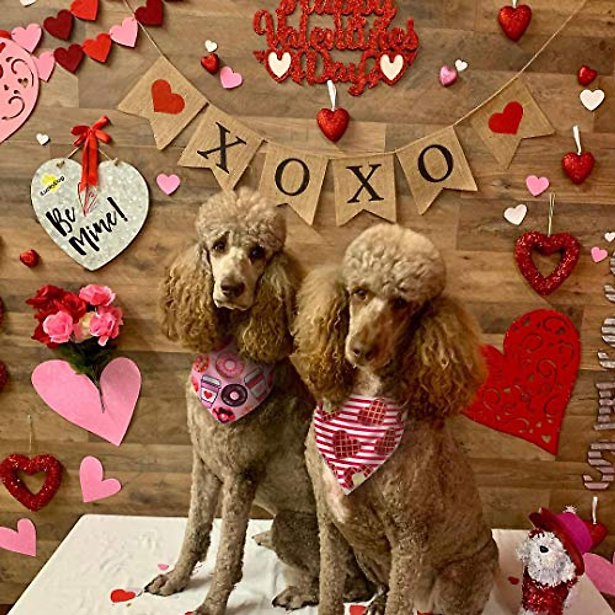 Valentines Day Dog Bandana 2 Pack - Triangle Bibs Pet Scarf for Small Dogs Puppy Cat