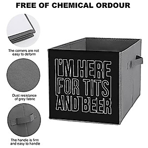 I'm Here for Tits and Beer Foldable Storage Bins Printd Fabric Cube Baskets Boxes with Handles for Clothes Toys, 11x11x11