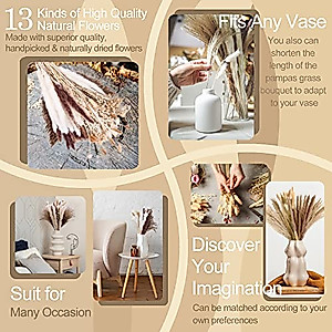 121pcs Dried Pampas Grass Decor, Boho Home Table Fall Decor Dried Flowers, White & Natural Pampas Grass, Reed Grass, Bunny Tails, 17 inch Pompass Grass for Wedding Home Decoration, Farmhouse Party