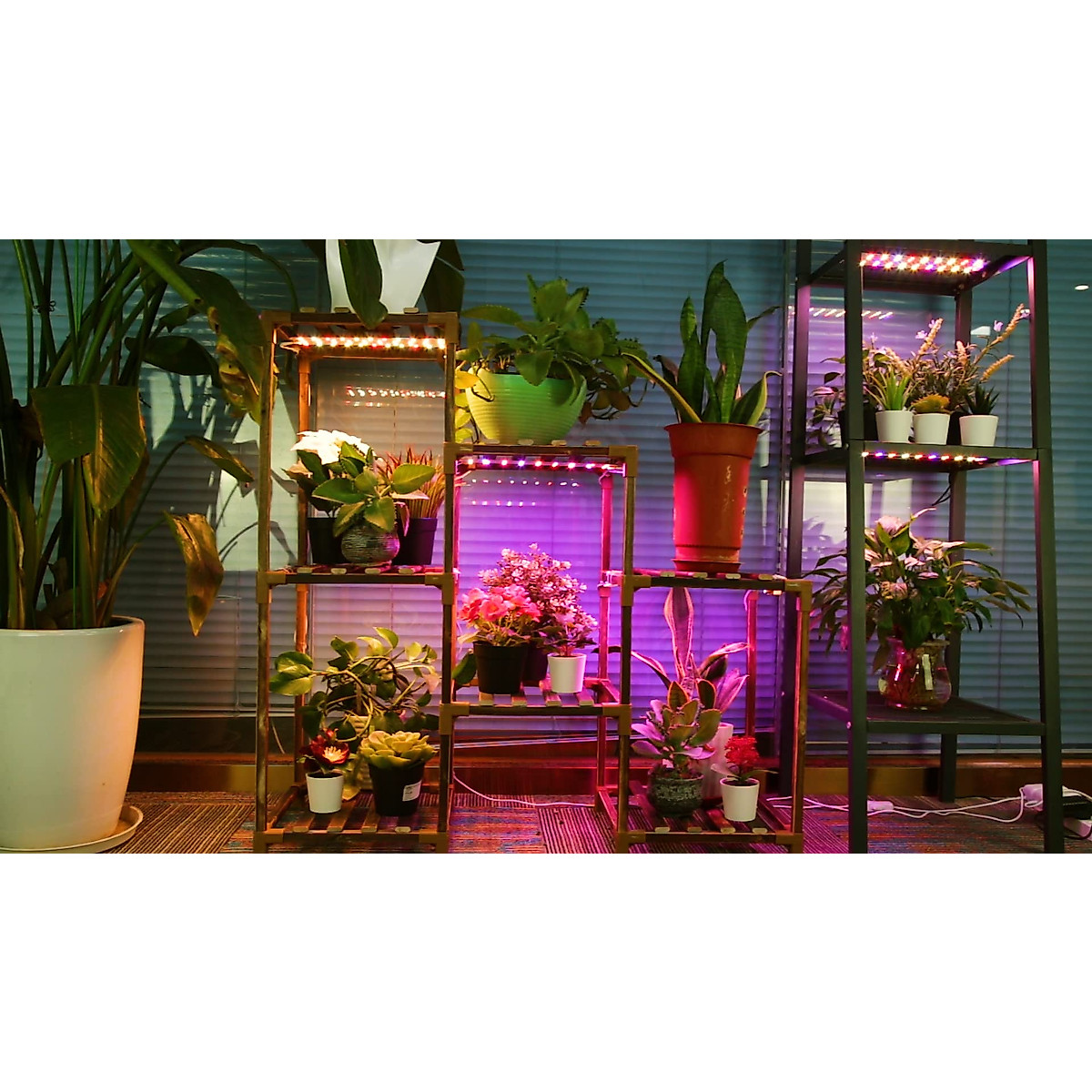 DOMMIA 20W/12W Grow Light Panel,Sunlike Warm White & Pulrple Light Full Spectrum for Indoor Garden Greenhouse Aquarium Hydroponic