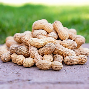 Desert Valley Premium in-Shell Peanuts - Wild Bird - Wildlife Food, Squirrels, Chipmunks, Cardinals, Jays & More (2-Pounds)