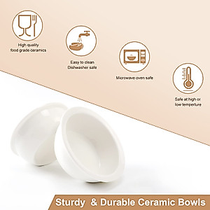 Sunhoo Ceramic Elevated Cat Bowls, Raised Puppy Dishes for Food and Water, Tilted Bamboo Stand for Anti Vomiting, Indoor 5.5 inch Wide Double Dish Orthopedic Anti-Vomiting (Grey)