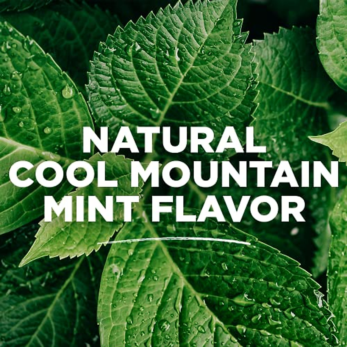 Tom's of Maine Natural Wicked Fresh! Alcohol-Free Mouthwash, Cool Mountain Mint, 16 oz. (Packaging May Vary)