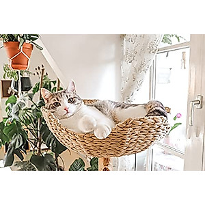 Wooden Cat Tree Tower, Modern Single Branch Cat Condo, Wood Cat Tree, Cat Climbing, Furniture for Cat, Cat Lover Gift, Cat Furniture,Cat Gift by MAU LIFESTYLE (Alpine White)