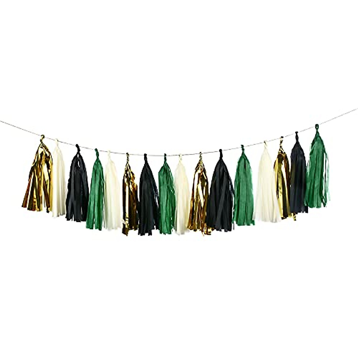 Mefuny Bining Tissue Paper Tassel DIY Hanging Paper Decorations Party Garland Decor for Party Decorations Wedding,Festival,Baby Shower Decoration 20PCS