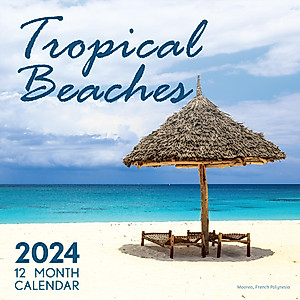 EcoEarth Biodegradable 11x22 Inch (Open) 18-Month Vertical Hanging Wall Calendar, Jul 2023 - Dec 2024 Monthly Calendar, Tropical Beaches