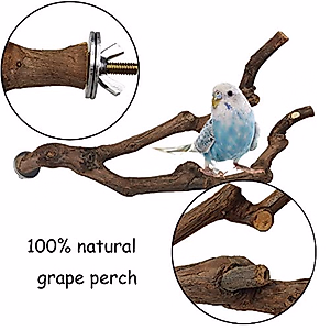 PINVNBY Natural Parrot Perch Bird Stand Pole Wild Grape Stick Paw Grinding Fork Parakeet Climbing Standing Branches Toy Chewable Cage Accessories for Small Lovebirds Budgies Cockatiels 2PCS