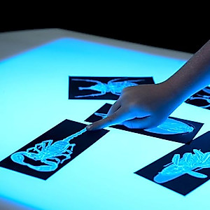 Wood Designs 991313 30" Brilliant Light Table with Storage, Interactive Sensory Light Table for Classroom, Daycare, Preschool