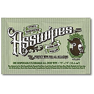 Fresh Body FB Asswipes To Go Single Packets- Everyday Flushable Bathroom Wipes with Aloe and Vitamin E (45 packets)