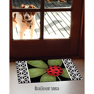 Toland Home Garden 800054 Ladybug Summer Door Mat 18x30 Inch Outdoor Doormat for Entryway Indoor Entrance