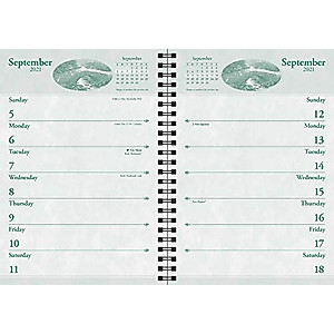 Thomas Kinkade Studios 2021 Engagement Calendar with Scripture