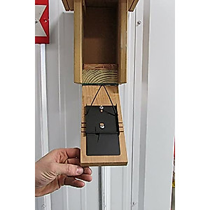 Showingo Van ERT Universal Sparrow Trap for Nest Boxes with Multiple Entrance Types