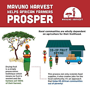 Mavuno Harvest Organic Dried Fruit Variety Pack | Dried Mango, Papaya, Pineapple, Banana, Jackfruit, & Tropical Mix | Healthy, Vegan, No Sugar Added, Non GMO Snacks for Kids & Adults | 2 Ounce, 6 Pack