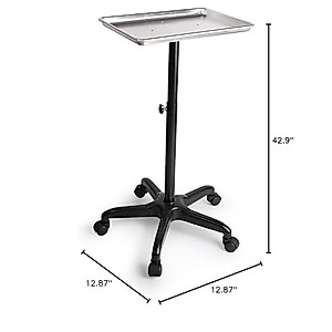 Adjustable Height Salon Rolling Alu Tray Cart+Wheel Hairdressing Tool Hair Stylist Storage Trolley for Salon Beauty Spa Tattoo Mobile Beauty Spa Service Instrument USA Stock (Silver)