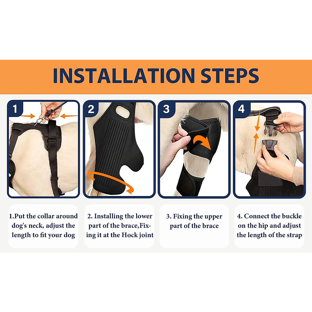 Huimpet Dog Knee Leg Brace, Dog ACL Brace for Back Hind Rear Leg, Dog Leg Support Brace for Torn ACL Tear, Luxating Patella, Hip Dysplasia and Dog Arthritis, Adjustable (Large)