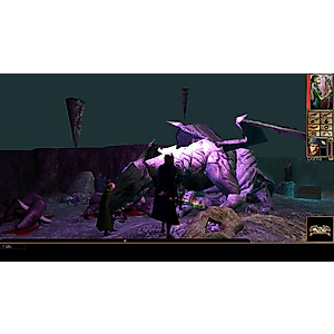 Neverwinter Nights Enhanced Edition (Nintendo Switch)