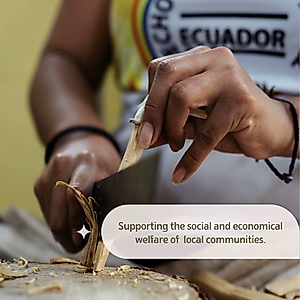 Luna Sundara Palo Santo Smudging Sticks High Resin Palo Santo from Ecuador - Wild Harvested Smudging Sticks