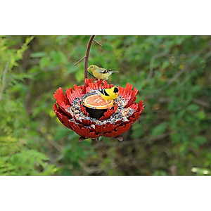 Desert Steel Coral Sunset Peony Hanging Feeder - (Orange - 9”W x 11.5”H) - Loose Seed Metal Birdfeeder