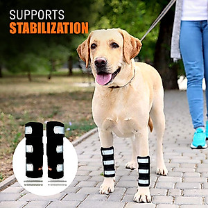NeoAlly- Front Leg Brace for Dogs & Cats, Dog Leg Brace with Metal Spring Inserts, Dog Leg Sleeve for Carpal Support, Dog Leg Sleeve with Reflective Straps, L/XL, Pair