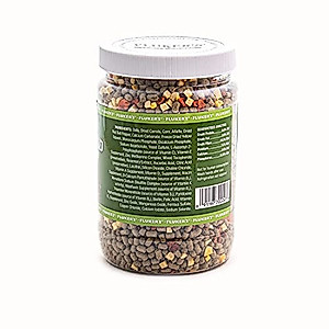 Flukers 70024 Buffet Blend Tortoise Food, 12.5oz