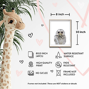 Designs by Maria Inc. Set of 6 UNFRAMED Woodland Nursery Decor Animal Posters | Zoo Theme Baby Room Decorations | Safari Jungle Nursery Wall Art Prints | Baby Animals Prints Nursery Decor Set (8"x10")