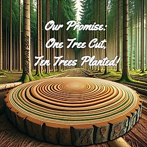 Set of (10) 9-10 inch Wood Slices! Baby Shower centerpieces, Wedding centerpieces, Party centerpieces, Woodland centerpieces, Safari centerpieces! (9 inch)