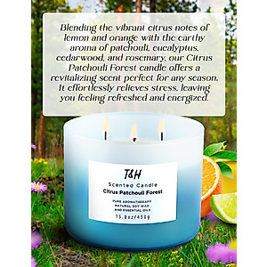 Large Citrus Patchouli Eucalyptus & Cedar Forest 3-Wick Candle - Highly Scented Natural Soy Candle for Home & Office 15.8 oz - Aromatherapy Stress Relief Candle, Refreshing Gift Candle for Women & Men