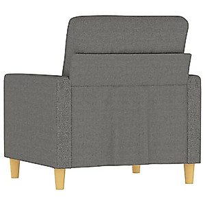 WHOPBXGAD Sofa Chair,Living Room Sofas, upholstered Sofas for Living Rooms, bedrooms, Offices and Apartments,Dark Gray 23.6" Fabric
