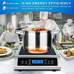 Duxtop Professional Portable Induction Cooktop, Commercial Range Countertop Burner, 1800 Watts Induction Burner with Sensor Touch and LCD Screen, P961LS/BT-C35-D