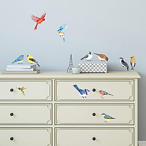 DECOWALL DS2-8042 Little Birds Wall Stickers Wall Decals Peel and Stick Removable Wall Stickers for Kids Nursery Bedroom Living Room (Small)