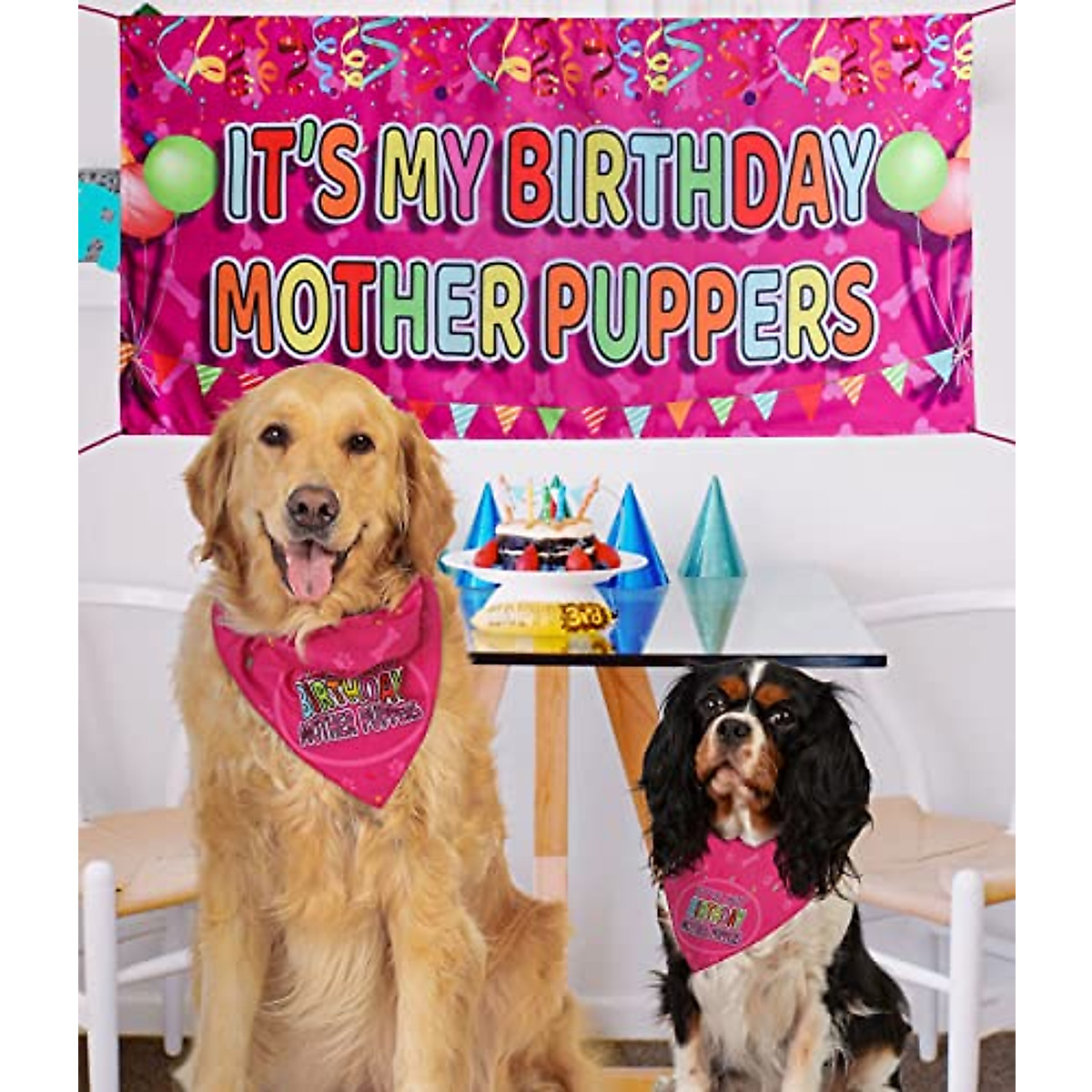 Odi Style Dog Birthday Party Supplies - Dog Birthday Girl Gift Set - Dog Birthday Bandana for Large, Medium Dogs, Puppy, Dog Party Hat and Cute Dog Birthday Banner, Pink