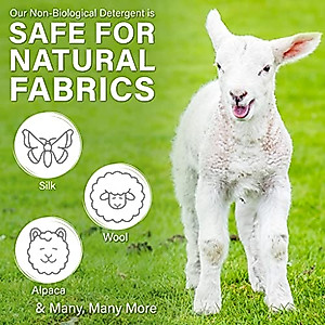 Heritage Park Silk & Wool Fragrance Free, Hypoallergenic, pH-Neutral Laundry Detergent - Dermatologist-tested, Sensitive Skin-Friendly, Enzyme-Free, Concentrated Up to 128 loads (64 fl oz)