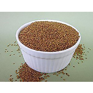 The Sprout House Certified Organic Non-GMO Sprouting Seeds Alfalfa 1 Pound