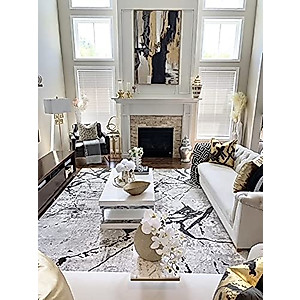 SAFAVIEH Amelia Collection 6' x 9' Grey/Black ALA293K Modern Abstract Non-Shedding Living Room Dining Bedroom Area Rug