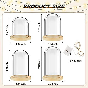 4 Pcs Clear Glass Dome Cloche with Wood Base and LED Fairy Light Set, Battery Operated Glass Cloche Glass Dome with Base Tabletop Bell Jar Display Case for Home Office Wedding Centerpiece Rose Flower
