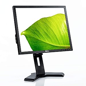 1908FPT Dell 19 LCD FLAT PANEL MONITOR