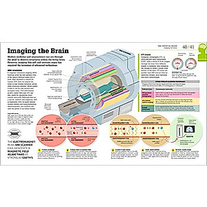 How the Brain Works: The Facts Visually Explained (DK How Stuff Works)