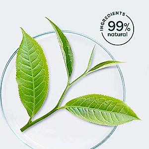 RAWGANIC Refreshing Facial Wipes | Gentle Soothing, Alcohol-free, Fragrance-free, Biodegradable Organic Cotton Wipes | with Aloe Vera and Green Tea | 12 Packs of 25 (300 wipes)