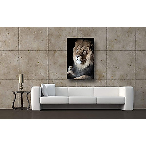 Photographic Portrait of Male African Lion Printed on CANVAS Ready to Hang Nature Photo Tawny Brown Tan Black Wall Art for Home or Office Big Cat Photography