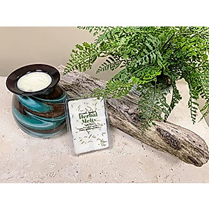 Swan Creek Drizzle Melt Spa Day