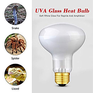 Reptile Heat Lamp Bulb 100W, Daylight Bulb for Reptile ,Basking Spot Heating Light UVA Glass Heat Bulb Soft White Bulb for Bearded Dragon Lizard Turtle -2 Pack