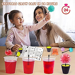 Crystal Growing Kit, STEM Projects Science Kits for Kids Age 8-12, Girls Toys 8-10 Years Old, Crafts Gift Toys for 6 7 8 9 10 11 12 years old Girls & Boys