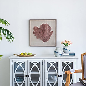 A&B Home Koi Lids, Small, Set of Two Jar, Set of 2, Blue