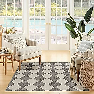 Nourison Positano Indoor/Outdoor Charcoal 4' x 6' Area Rug, Easy Cleaning, Non Shedding, Bed Room, Living Room, Dining Room, Backyard, Deck, Patio (4x6)