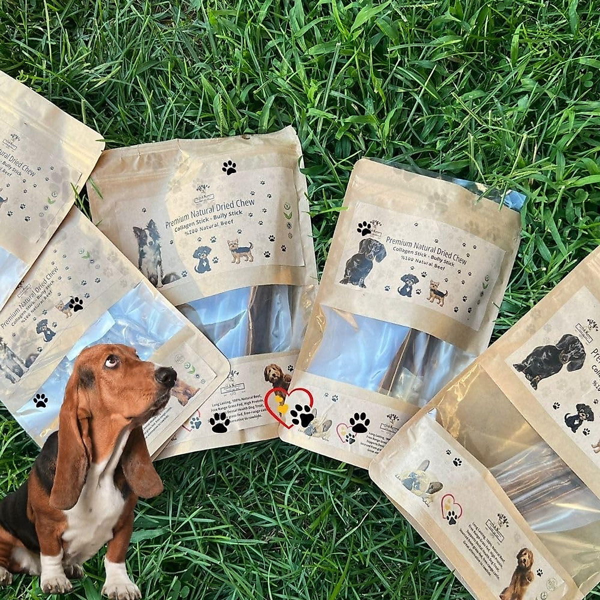 MISH&CA Bully Sticks for Dogs - Tough Long Lasting, Rawhide Free, Low Odor, Healthy Single Ingredient Chew Treat for Aggressive Chewers - 100% Free-Range Grass-Fed Beef (100 GR 15 CM, Straight)