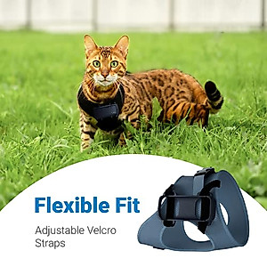 Tractive GPS Cat 4 Tracker Harness Attachment, for Cat Walks with Peace of Mind, Velcro Straps, Black