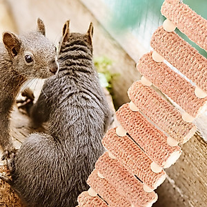 POPETPOP Hamster Arch Bridge Parrot Toys Rabbit Toys Bunny Toys Corncobs Hamster Ladder Wear-Resistant Chinchilla Plaything Parrot Bites Toy Small Pet Ladder Toy Corn Cob Molar Hamster Cage